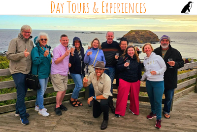 Melbourne Bus Tours - Tour Local